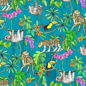 Qué animales van en el bosque tropical