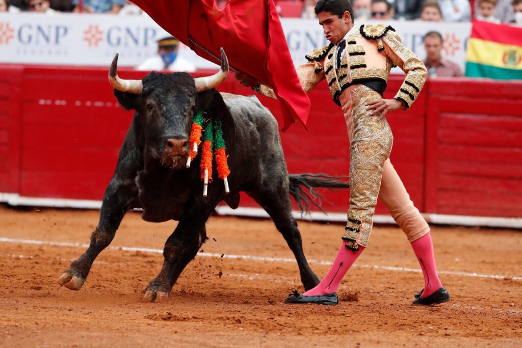 Qué beneficios tiene la casta brava