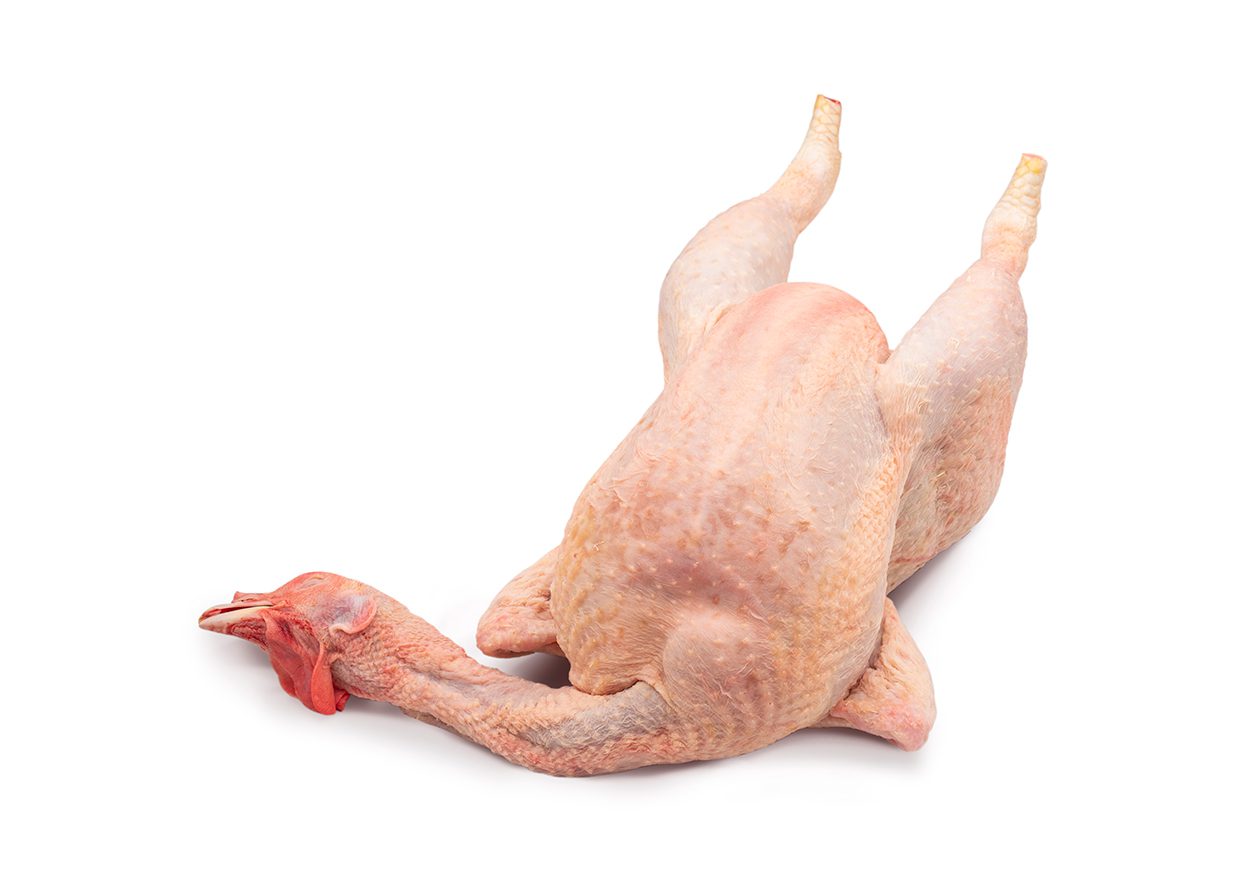 Cuánto pesa una gallina pesada: Datos sorprendentes