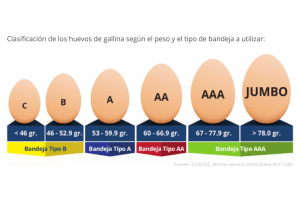 Cuántos gramos pesa un huevo: Guía detallada
